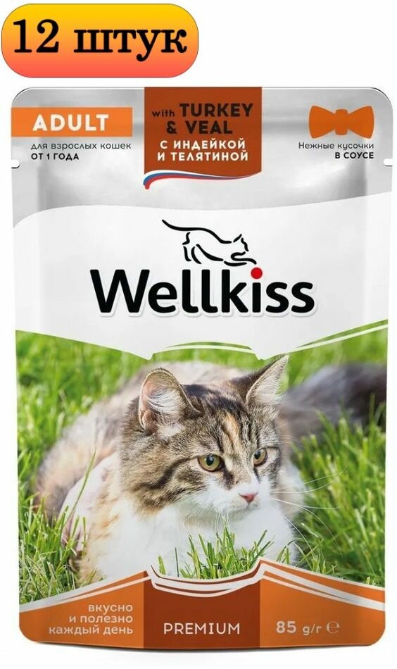 12шт Wellkiss Adult Влажный корм (пауч) для взрослых кошек, с индейкой и телятиной в соусе, 85 гр.