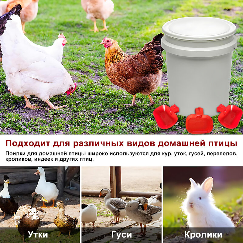 Автоматическая поилка для кур, поилка для цыплят бройлеров,10 шт