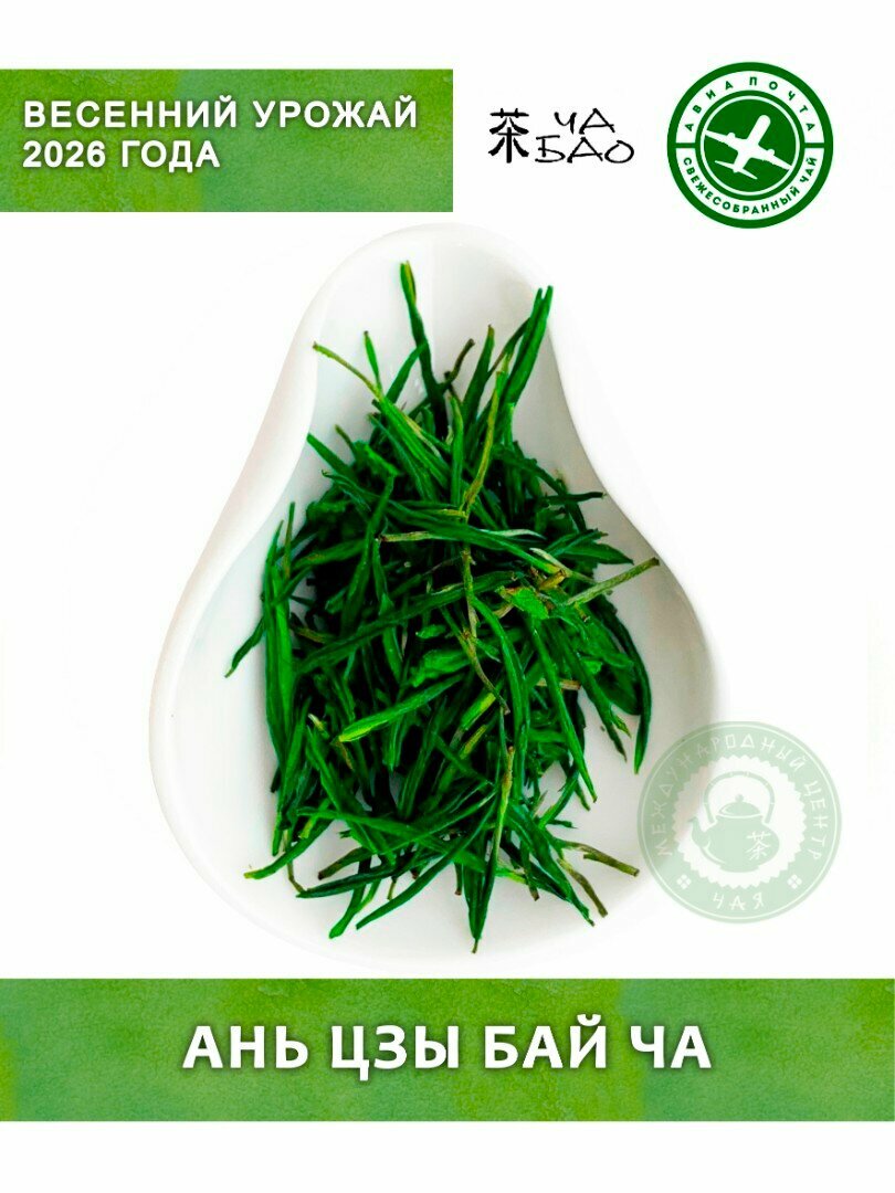 Чай зелёный китайский, урожай 2026 - Ань Цзы Бай Ча, Авиа, 20 гр.