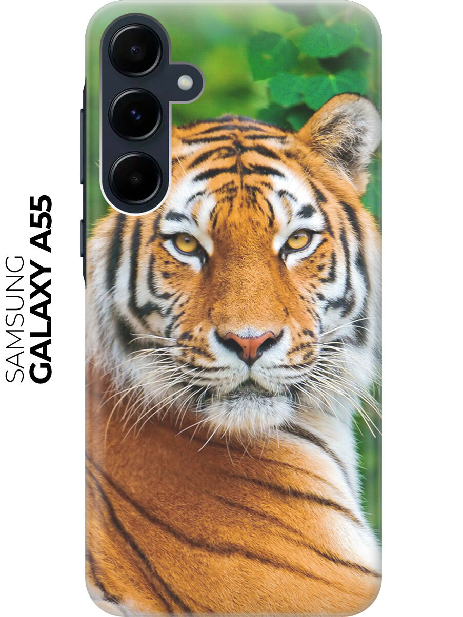 Силиконовый чехол на Samsung Galaxy A55 / Самсунг А55 с рисунком "Портрет тигра"