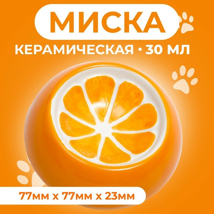 Миска керамическая для грызунов "Апельсинка" 30 мл 7,7 х 2,3 см, 4789557