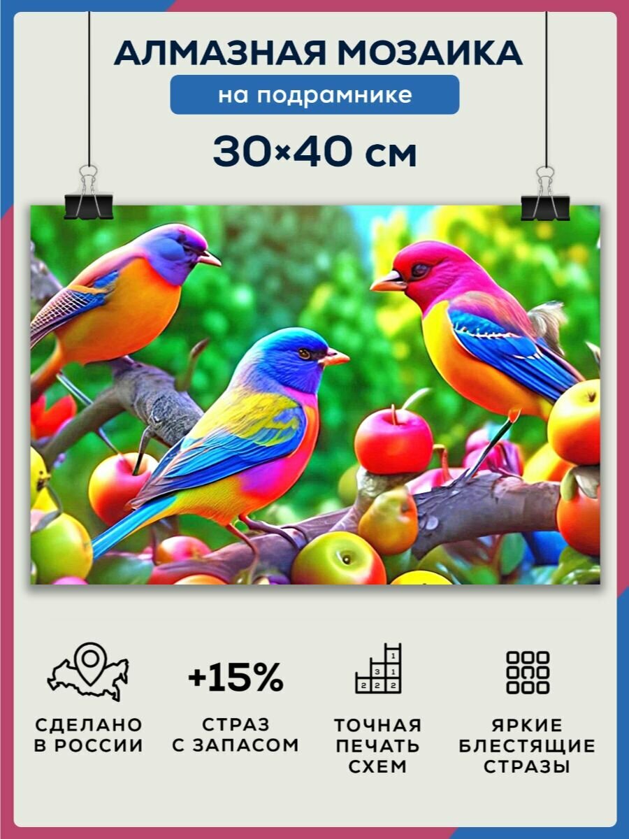 Алмазная мозаика 30x40 Разноцветные птицы на подрамнике
