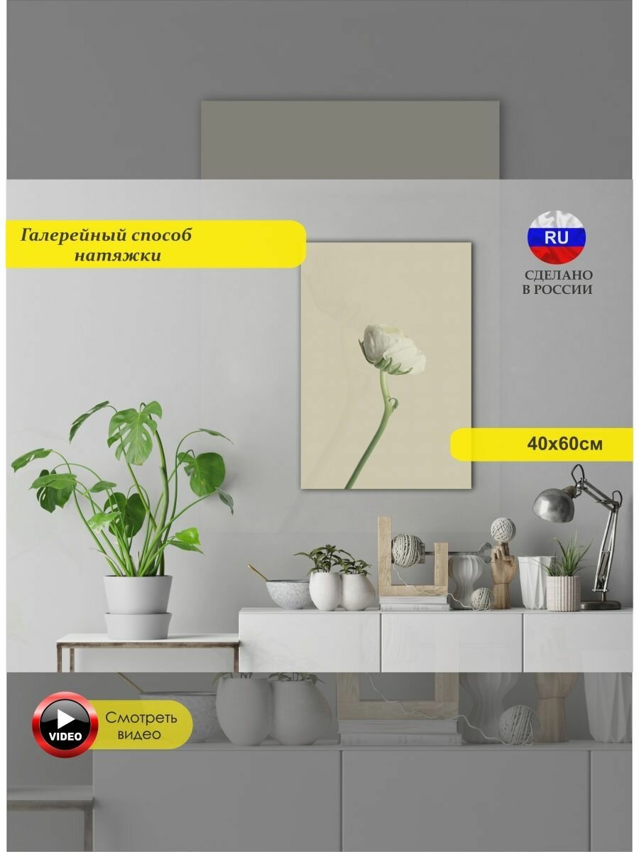 Красивый цветок Ранункулюс полностью готовая 40х60