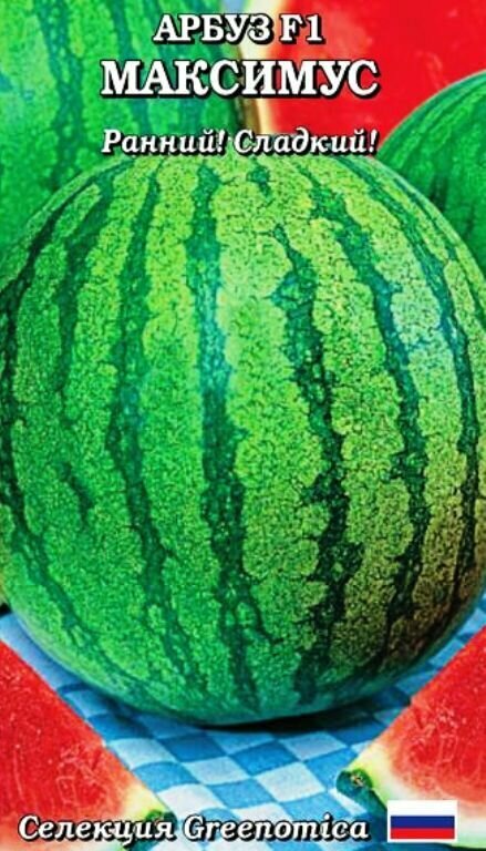 Семена Арбуз Максимус F1 5 шт.