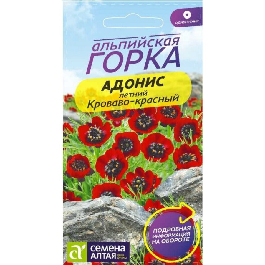 Семена адониса "Летний Кроваво-красный" 10 упаковок по 0,2 гр - куст имеет высоту до 30 см и характеризуется красивой мелко-рассеченной листвой.