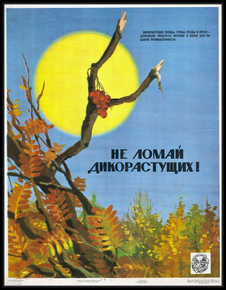 Плакаты СССР об экологии, природе, лесном фонде, лесхозе, лесном хозяйстве, лесниках, лестничестве; Антиквариат 1969 г; Декор настенный винтажный 44/59 см.
