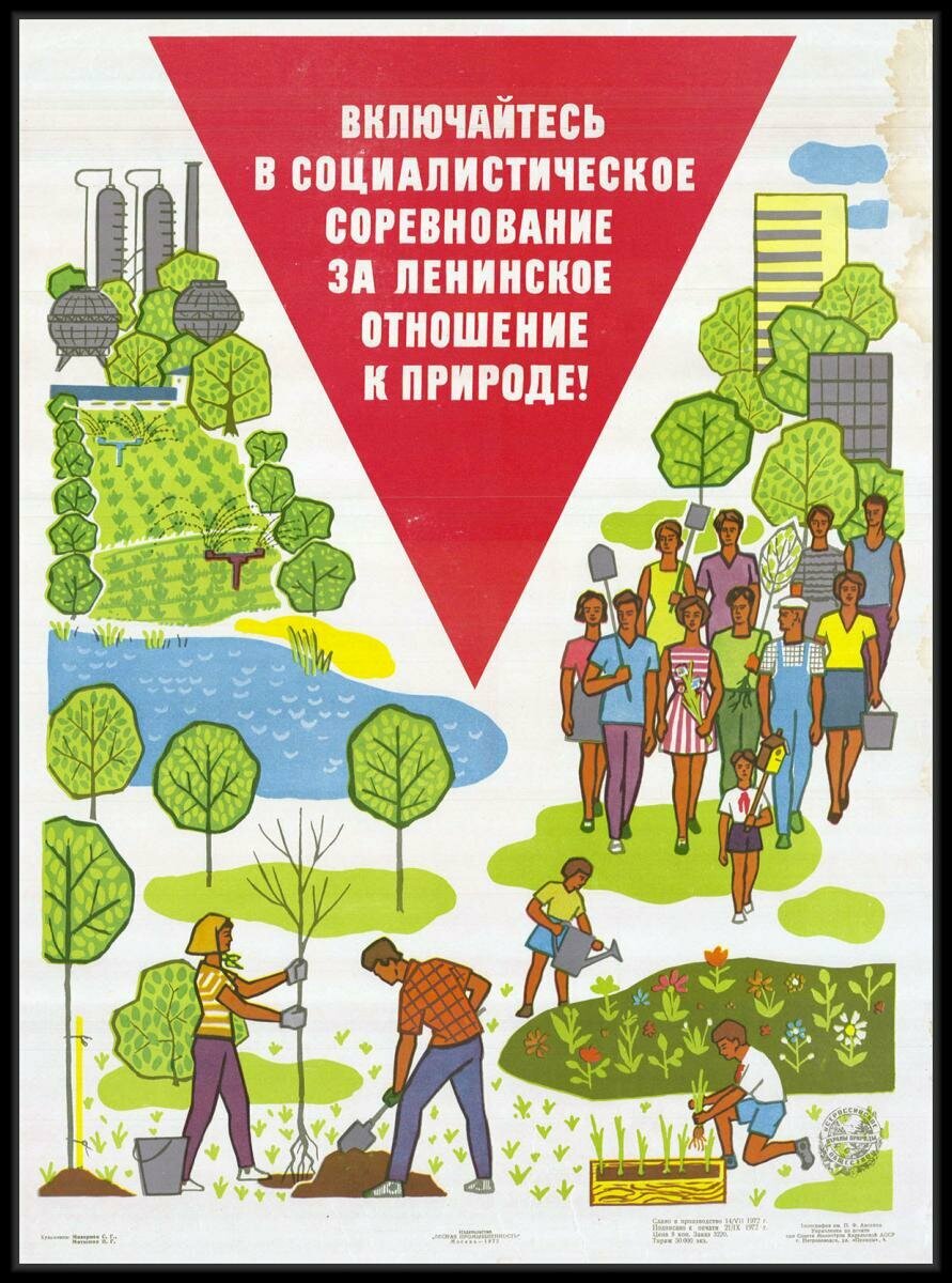 Плакаты СССР об экологии, природе, лесном фонде, лесхозе, лесном хозяйстве, лесниках, лестничестве; Антиквариат 1972 г; Декор настенный винтажный 44/60 см.