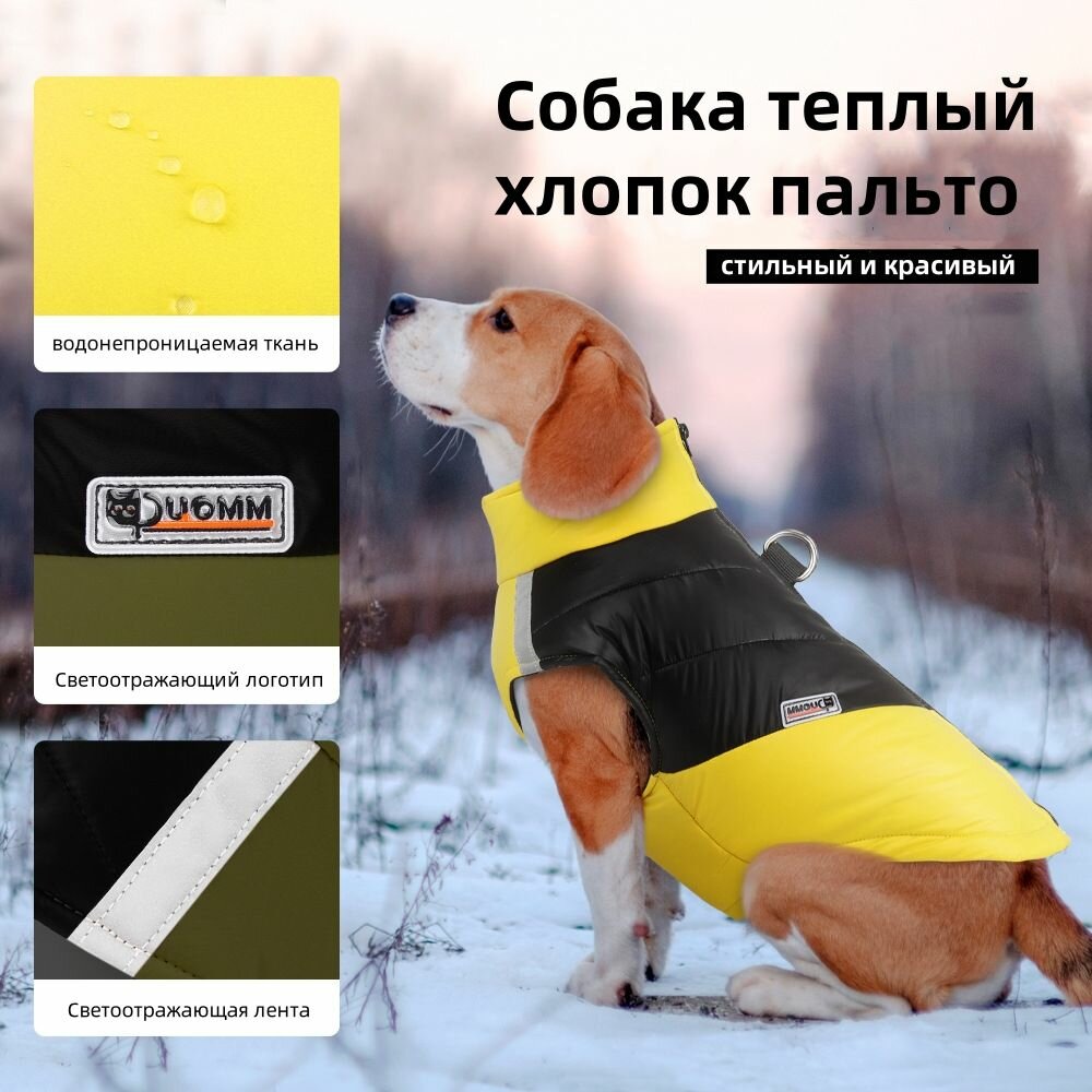 Одежда для животных — фото 1