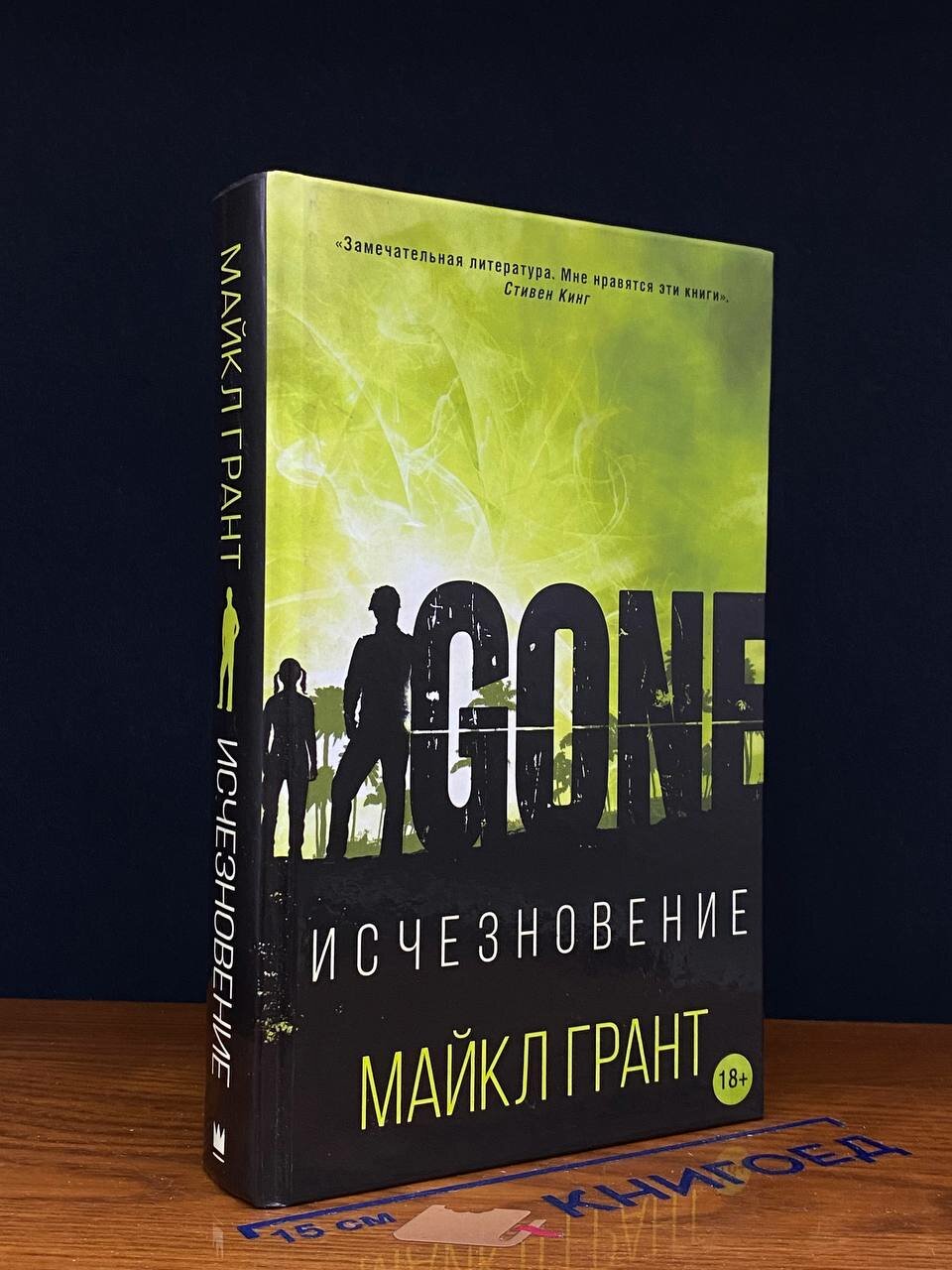 Книга. Исчезновение 2019 (2042157728763)