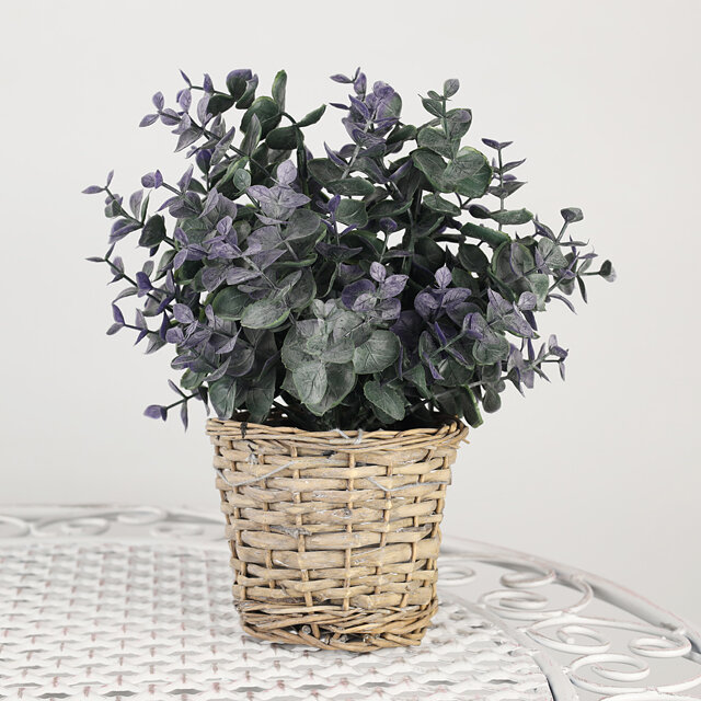 Искусственный эвкалипт в горшке Гласвелти 26 см, Koopman, 317002290-3