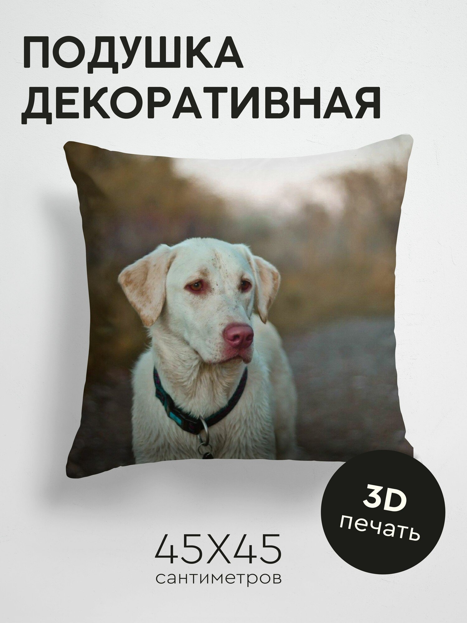 Подушка декоративная, 45x45см / Животные / собака / взгляд / ошейник / лабрадор
