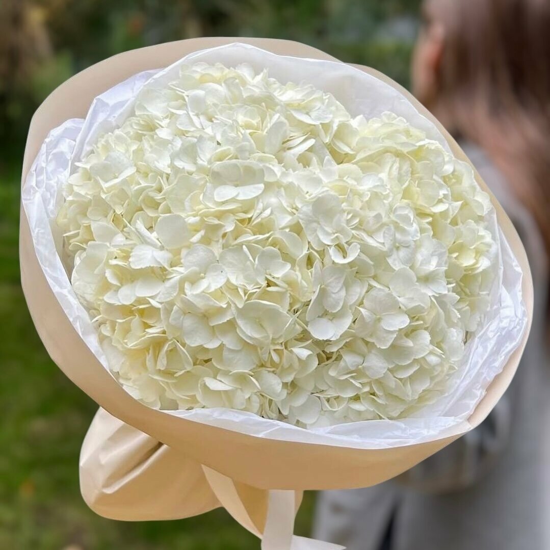 Букет из белых гортензий 9 шт, красивый букет цветов, шикарный, премиум цветы, премиум букет