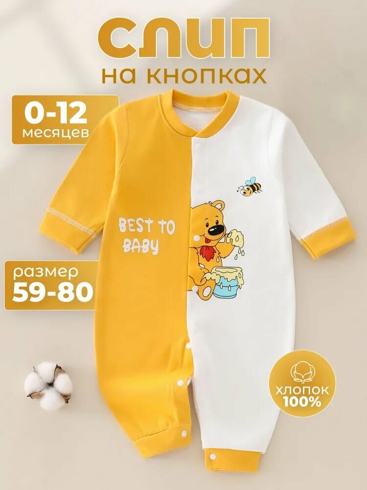 Боди