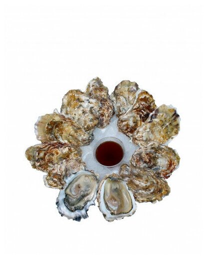 Дюжина устриц Тихиро №3