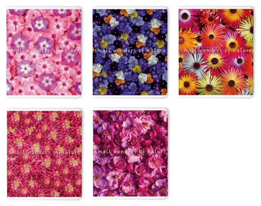 Тетрадь общая Альт, А5 (165 х 203 мм), "цветочный паттерн" 48 л, клетка, Арт. 7-48-546, обложка в ассортименте, 5шт.