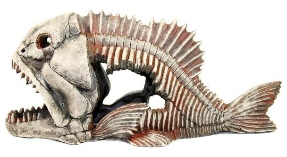 Грот Deksi Скелет рыбы 904 (40*15*18см)