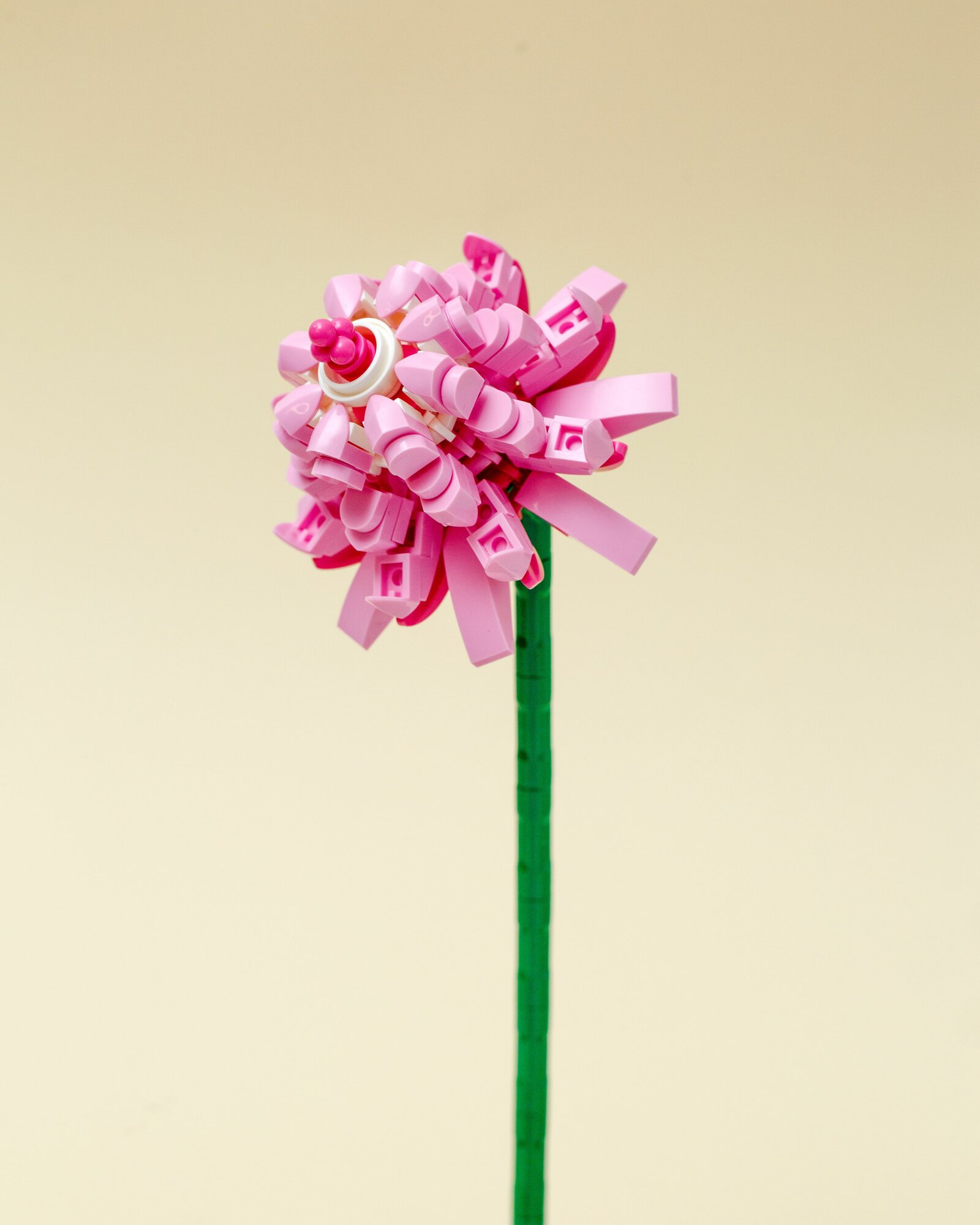 Конструктор цветок "Хризантема розовая" Sembo Block, для девочки, 137 деталей, совместим с моделями других известных брендов