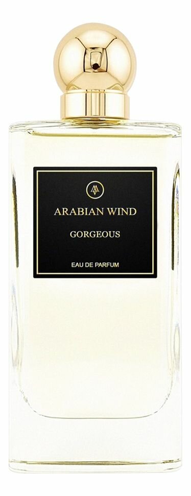 Arabian Wind Gorgeous Парфюмерная вода для мужчин 75 ml
