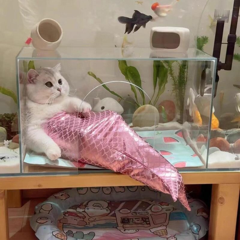 Одежда для животных — фото 1
