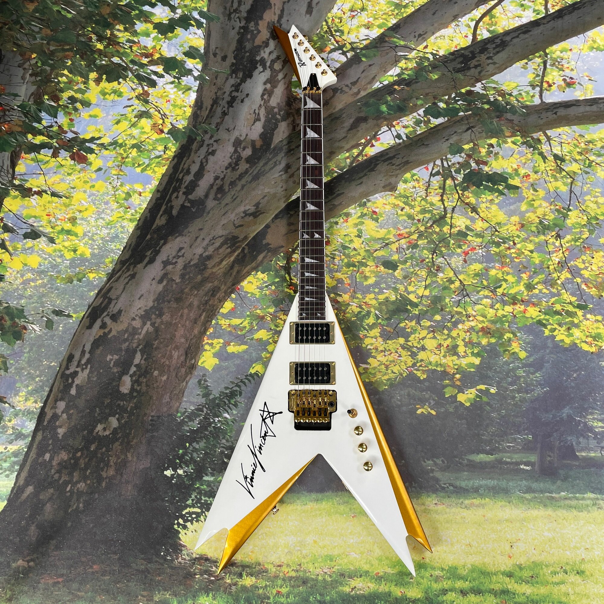 Электрогитара Электрическая гитара, сделанная в Китае 6-струнная, корпус Махагони