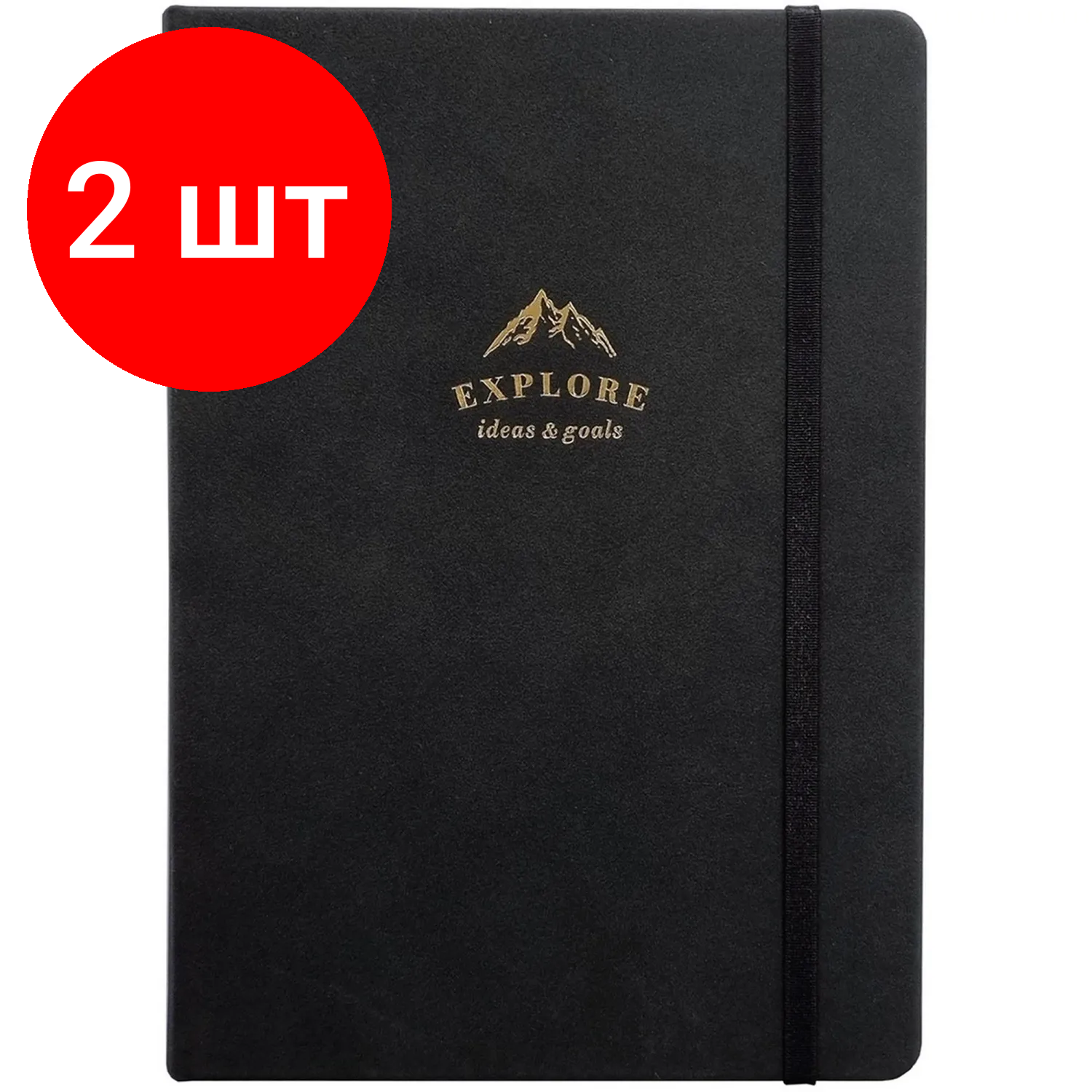 Комплект 2 штук, Ежедневник датированный 2026 IF 14х20см 176л, тв с рез, Explore I1715/black