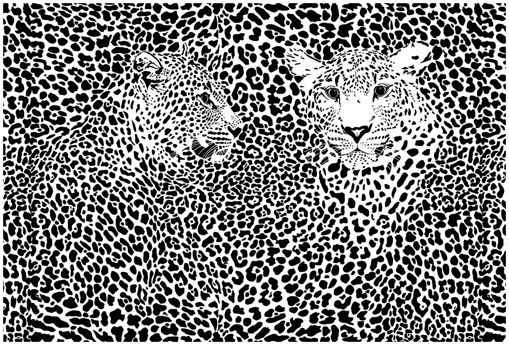 Фотообои Milan Черно-белые леопарды, M604, 200х135 см, виниловые на флизелиновой основе