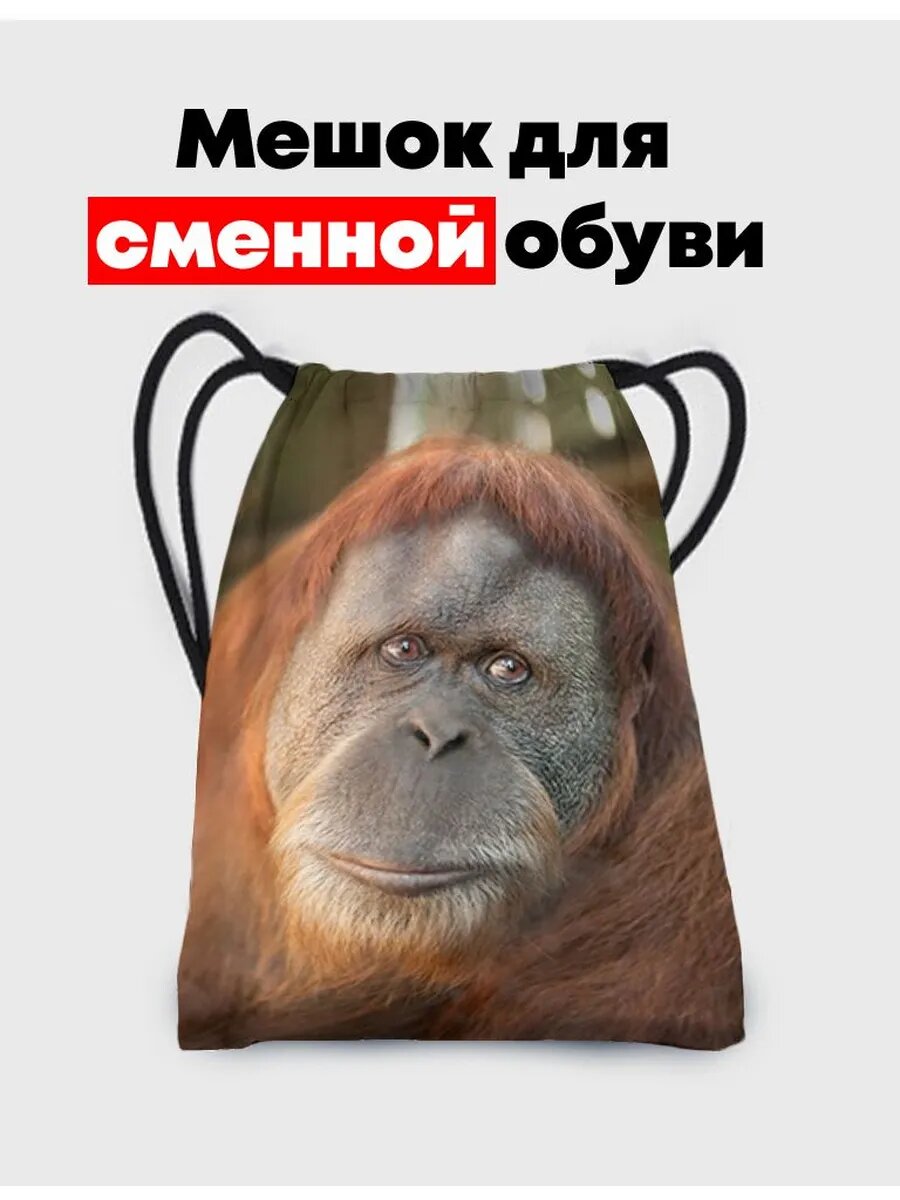 Мешок - сумка для обуви Обезьяна