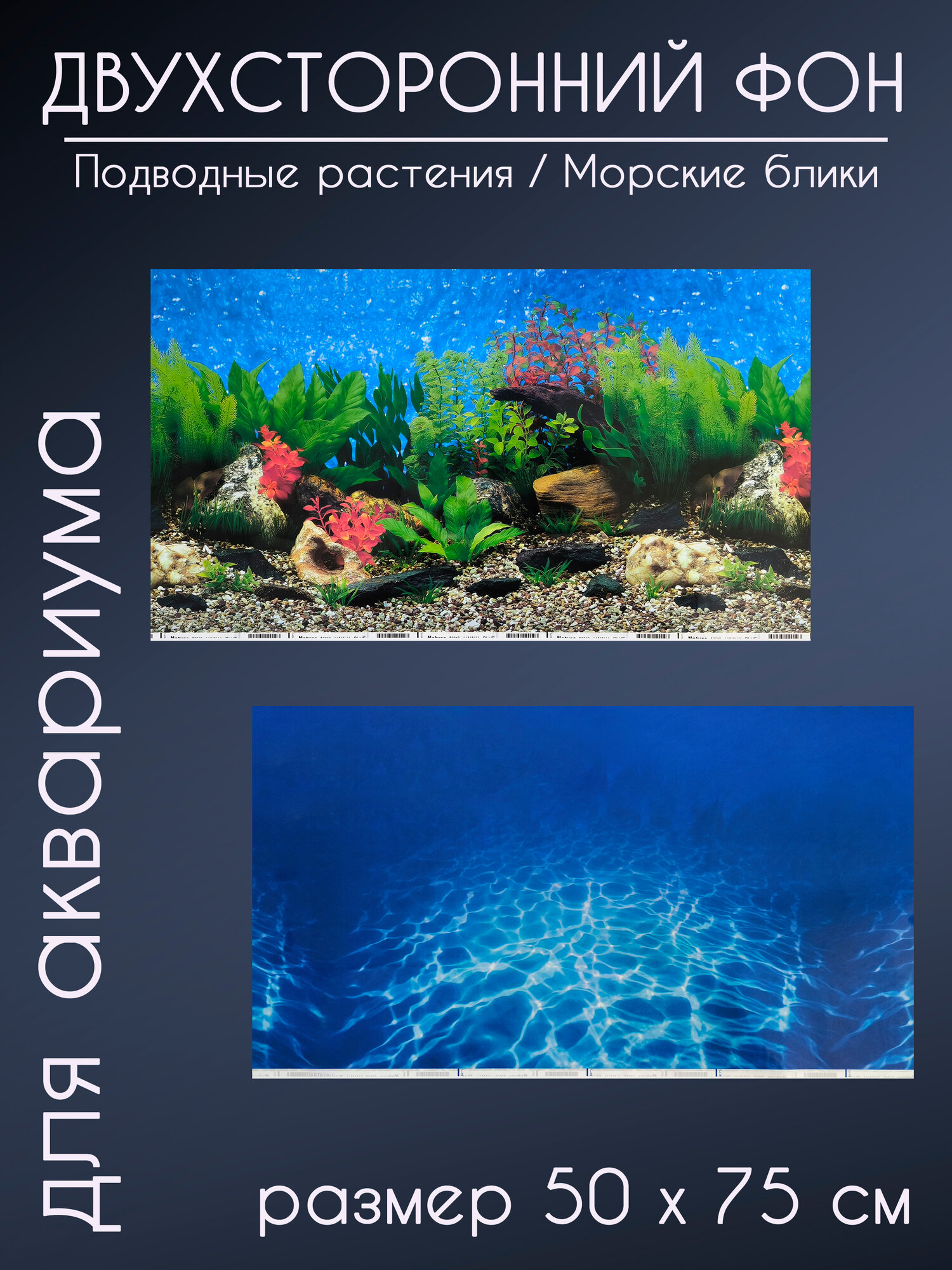 Фон для аквариума и террариума, высота 50 см длина 75 см, двухсторонний "Подводные растения / Морские блики"