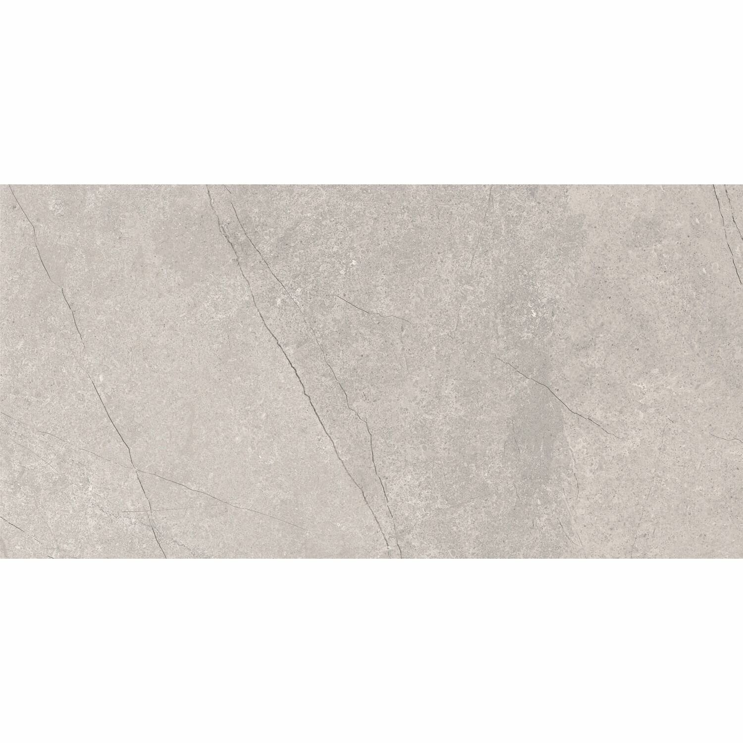 Керамогранит Azario (Азарио) Fossil Grey Matt 60х120 см (E4040821120M) (1.44 м2)