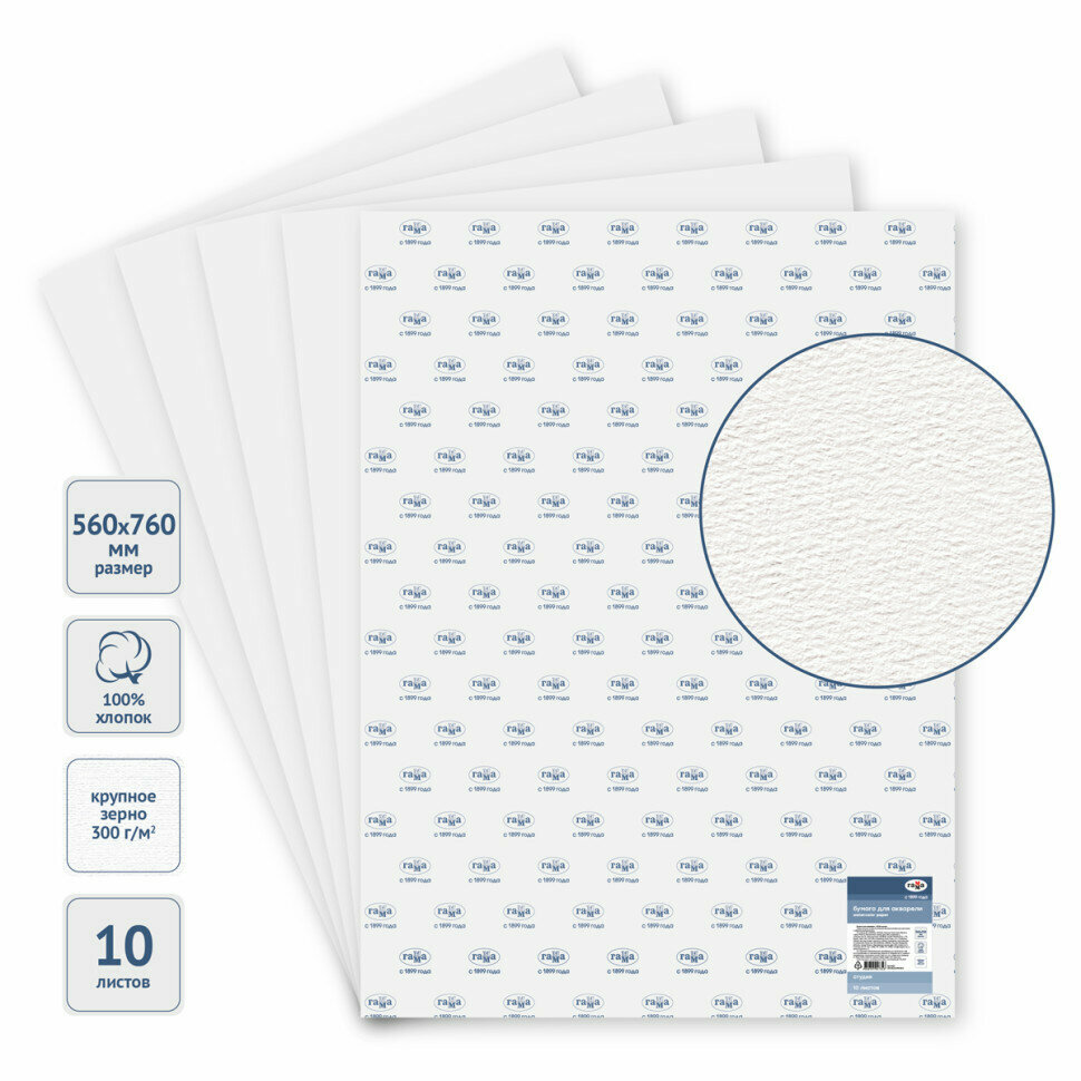 Бумага для акварели, 10л, 560*760мм, Гамма "Студия", 300г/м2, крупное зерно, 100% хлопок, 362563