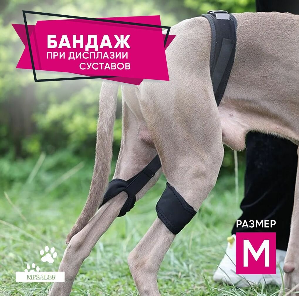 Бандаж при дисплазии тазобедренного сустава собак (дтбс), на лапы размер M.