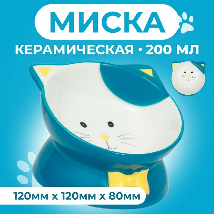 Миска керамическая "Киса" на подставке-лапках 200 мл 13 х 12 х 8 см, голубая, 9942197