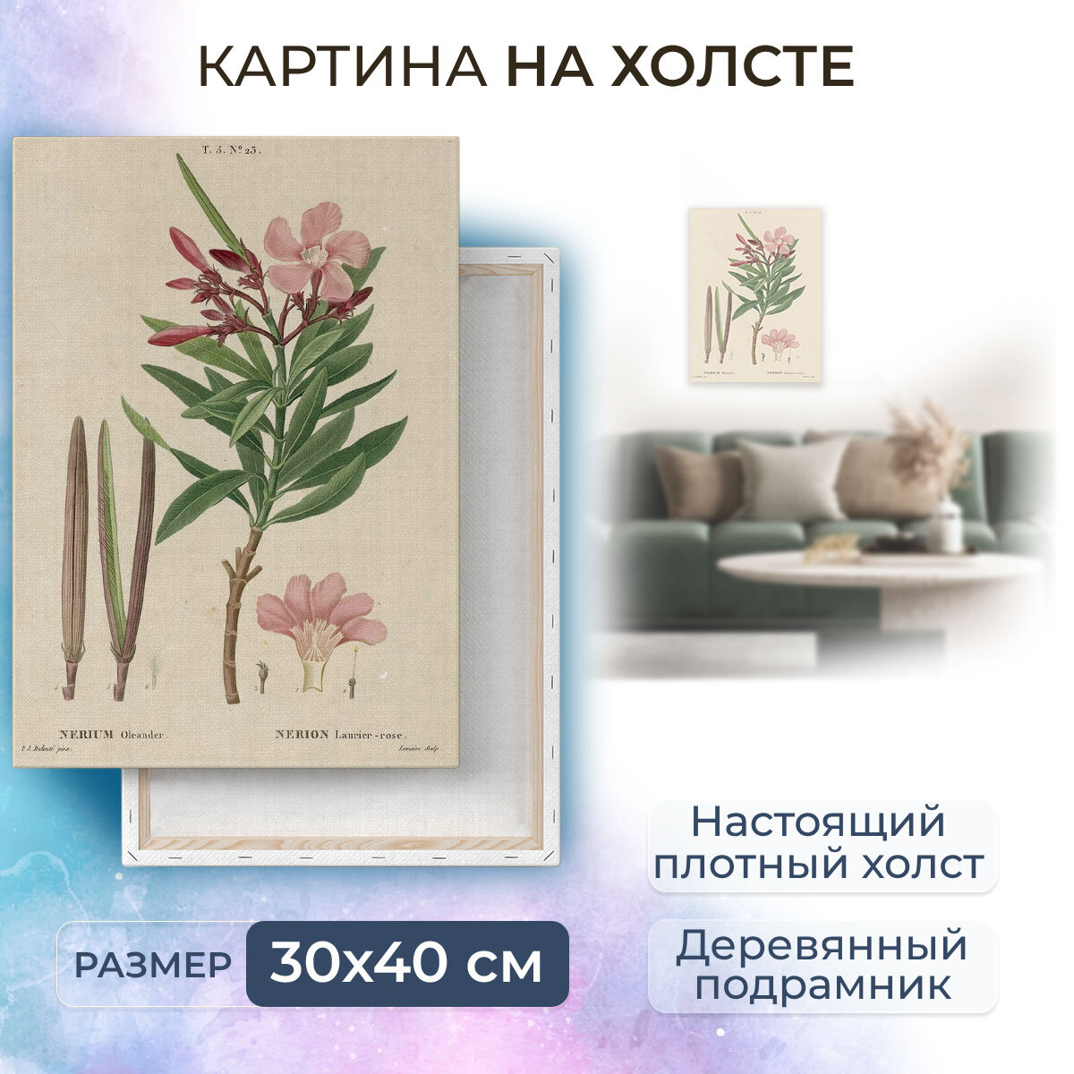 Картина на холсте с подрамником / Pierr - Joseph Redoute / Пьер-Жозеф Редуте