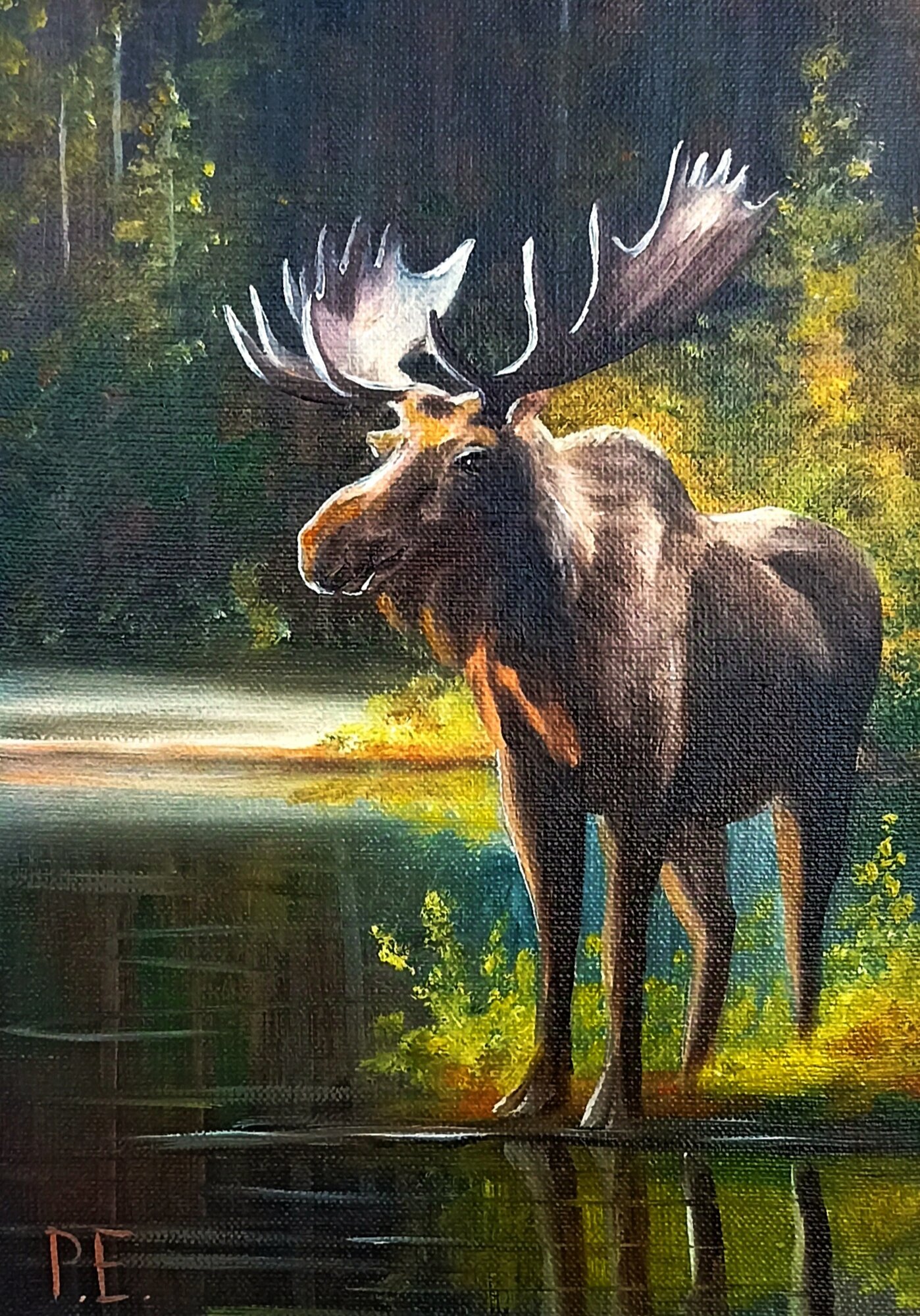 Масло/холст. 100% ручная работа, 100% живопись от Художественной мастерской Грëзы. Серия "Мир Фауны". Лось. Картина написана в технике Лейденский школы Голландской живописи (гладко, не мазками). 20х30 см