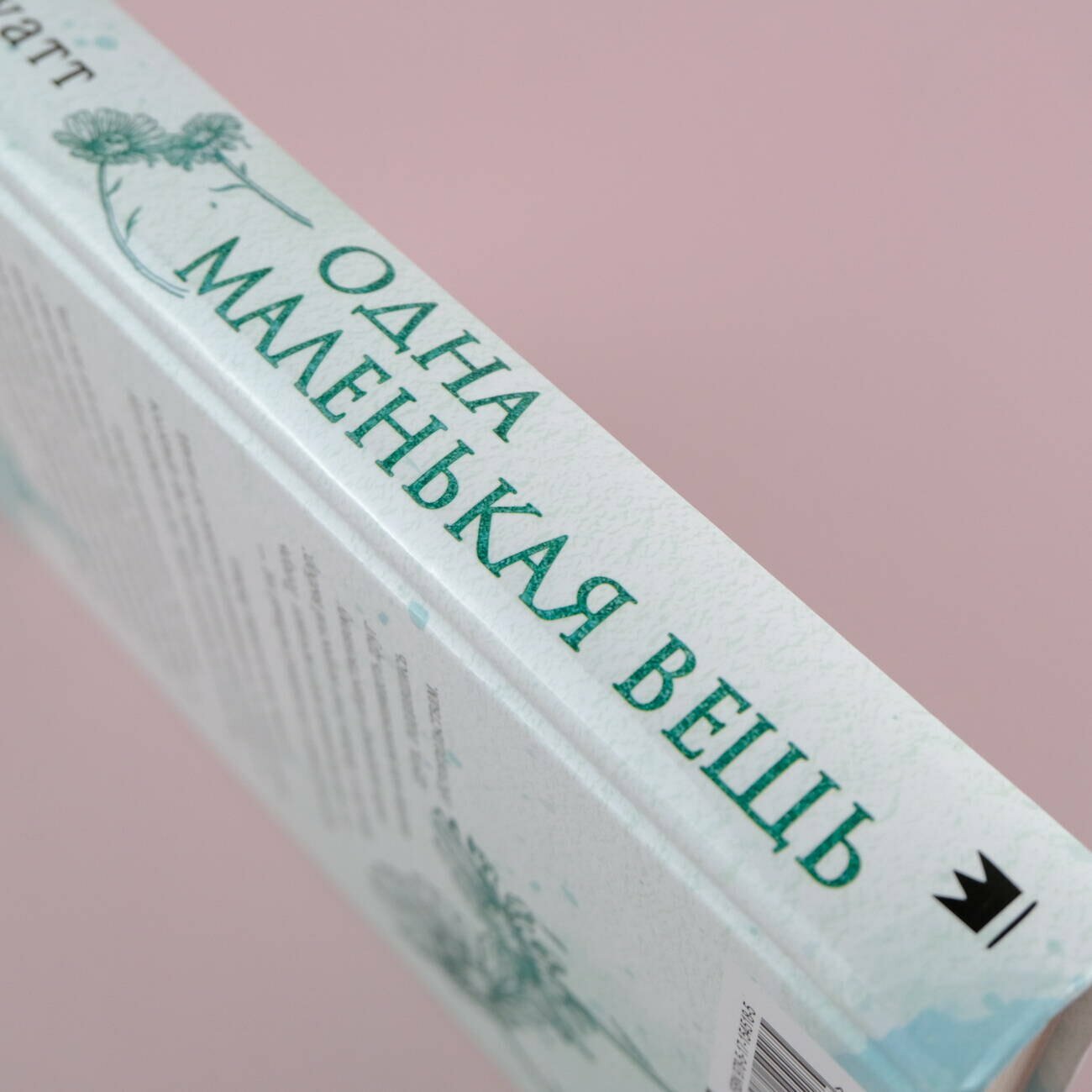 Одна маленькая вещь — фото 1