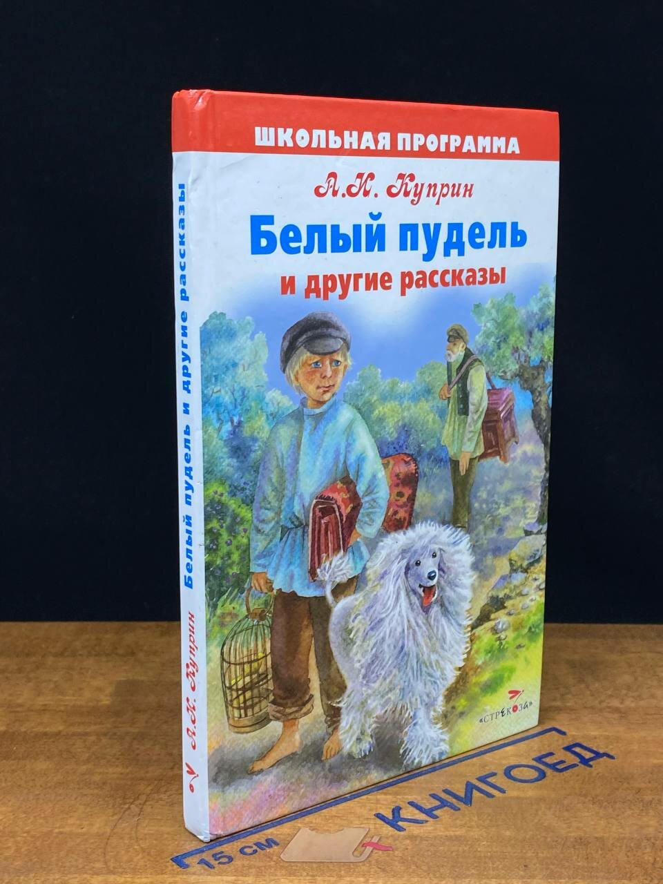 Книга. Белый пудель и другие рассказы 2014 (2044546565898)