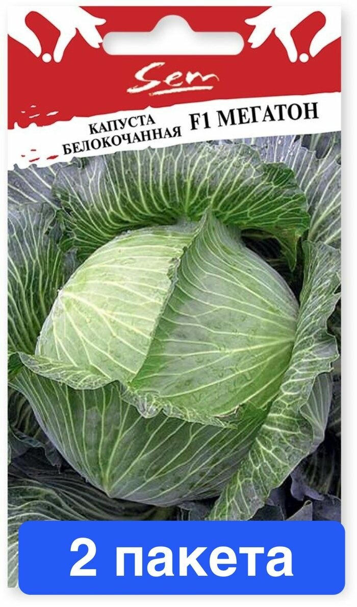 Капуста белокачанная Мегатон F1 2 пакета