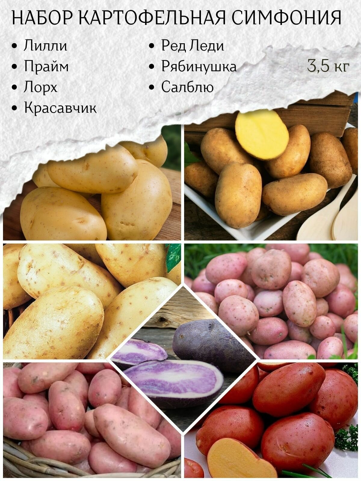 Набор катофеля из 7 сортов "Картофельная симфония" (белый, красный, фиолетовый)