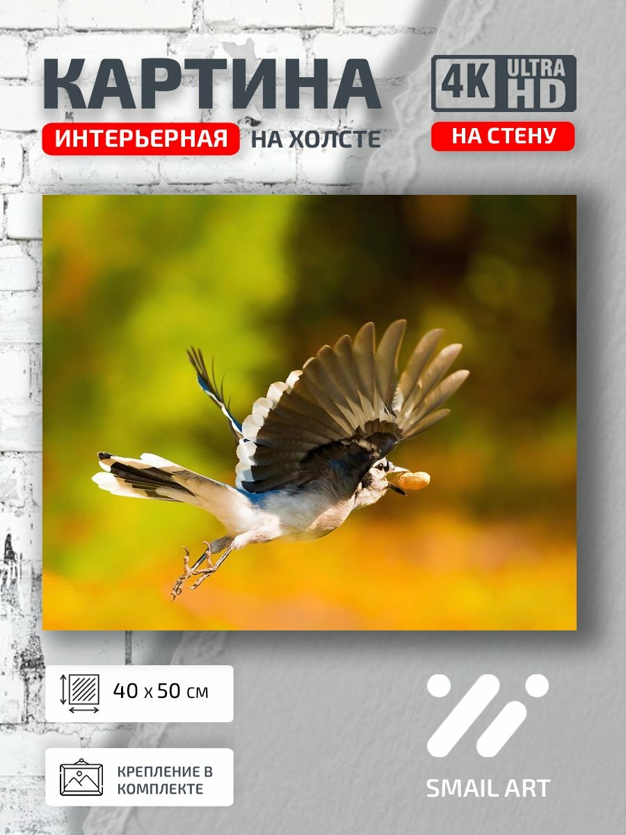 Картина на холсте интерьерная 40 на 50 на стену Птица Landscape для кафе пейзаж интерьер