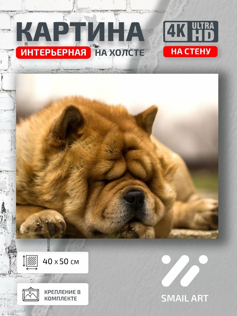 Картина на холсте интерьерная 40 на 50 на стену Собака Landscape для гостиной пейзаж декор