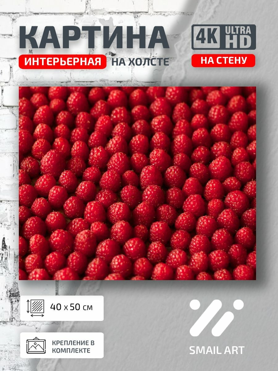 Картина на холсте интерьерная 40 на 50 на стену Малина Food для студии кулинария интерьер