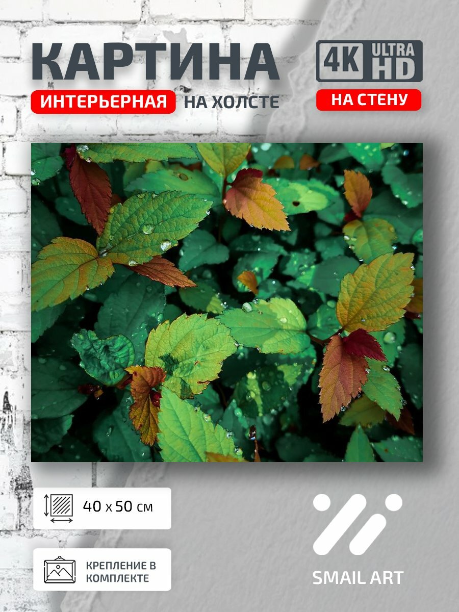 Картина на холсте интерьерная 40 на 50 на стену Капли Landscape для кабинета пейзаж декор