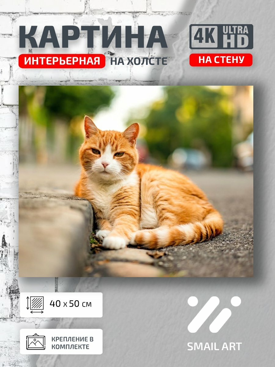 Картина на холсте интерьерная 40 на 50 на стену Дороге Animal для спальни animal style