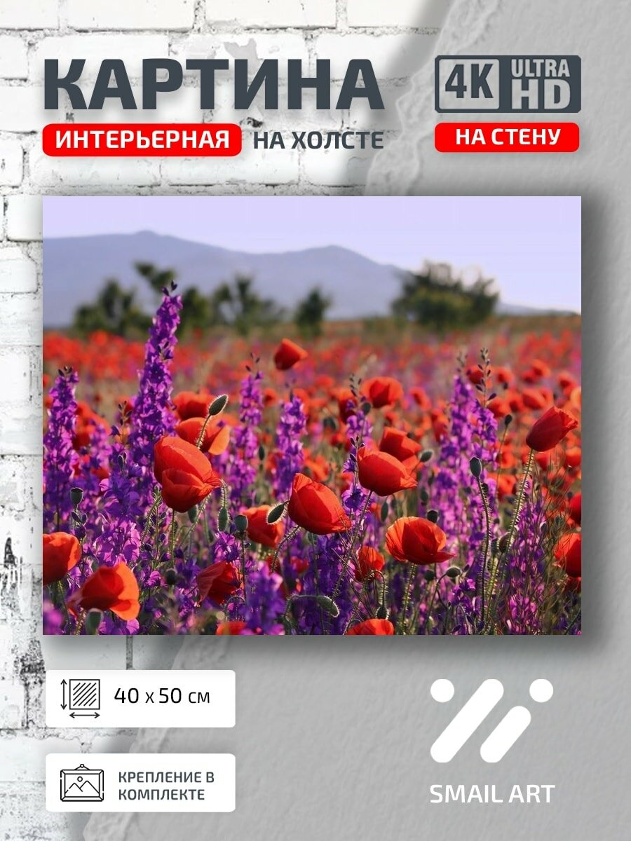 Картина на холсте интерьерная 40 на 50 на стену Природа Маки для кафе пейзаж