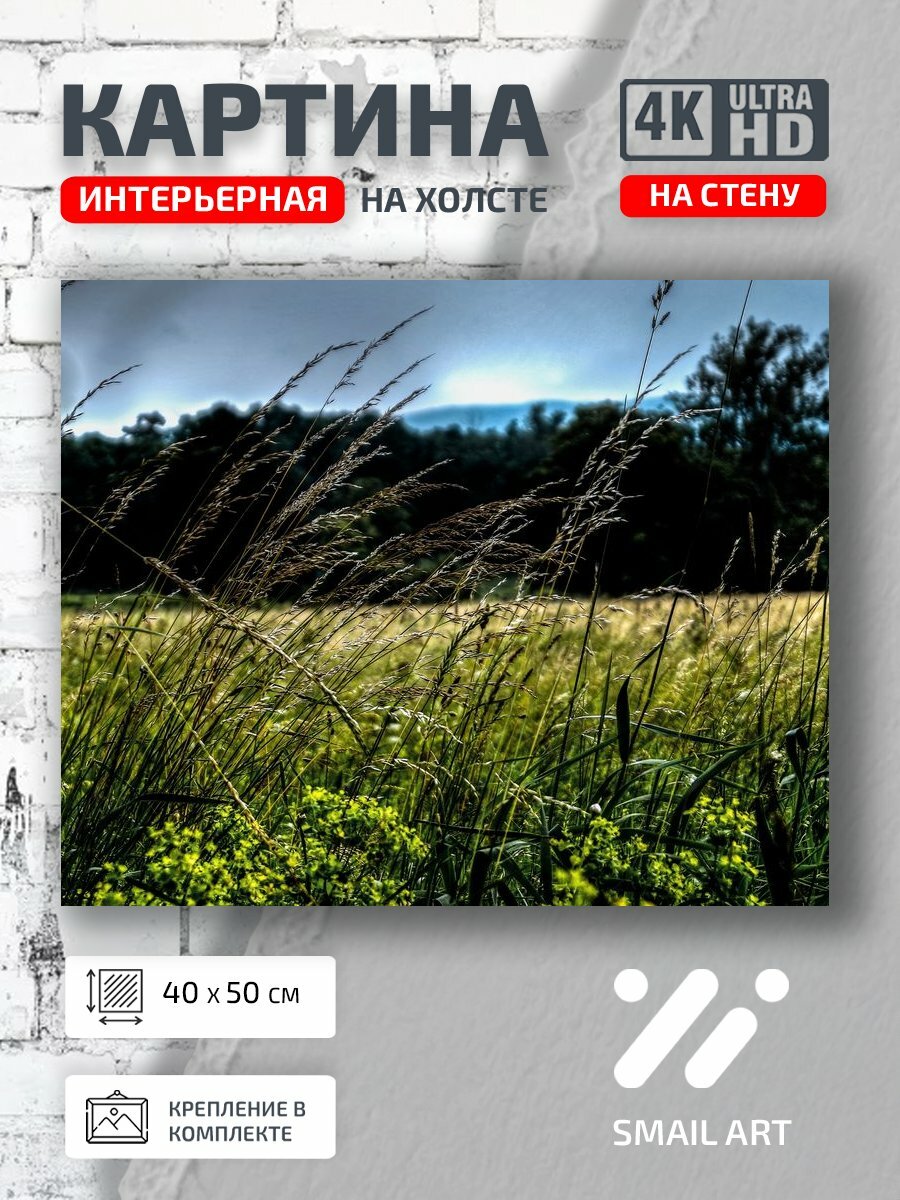 Картина на холсте интерьерная 40 на 50 на стену Поле Landscape для кафе пейзаж интерьер