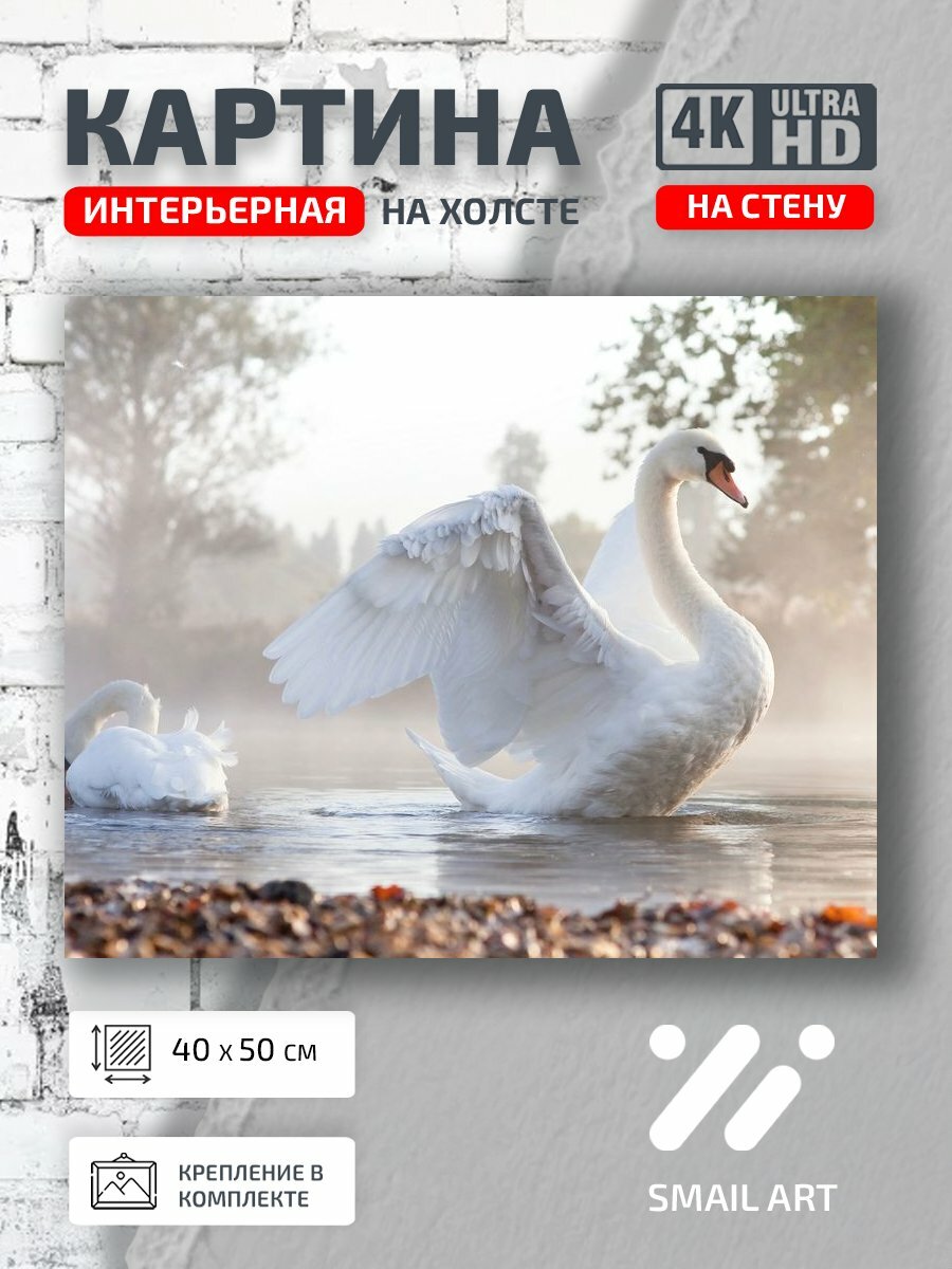 Картина на холсте интерьерная 40 на 50 на стену Взмах Mood для студии атмосфера интерьер