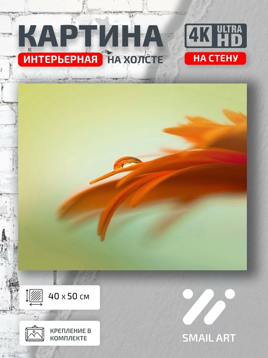 Картина на холсте интерьерная 40 на 50 на стену Galaxy S3 для гостиной атмосфера