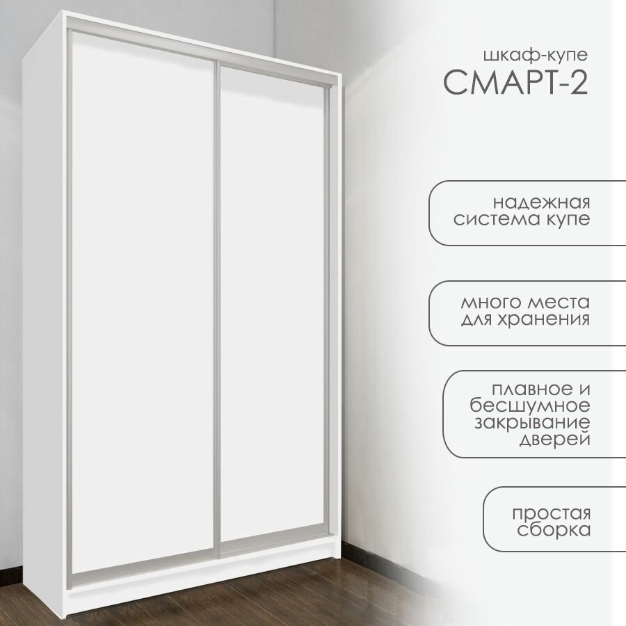 Шкаф-купе Смарт-2