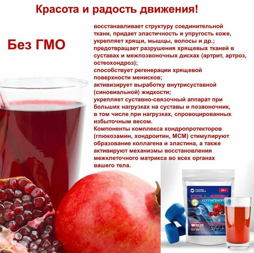 Коллагенороз Родник Здоровья, с хондропротекторами, порошок, 300 гр — фото 1
