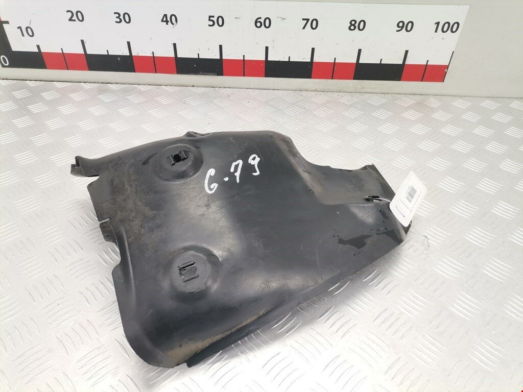 Подкрылок (защита крыла) задний правый Renault Megane 2 8200141289 арт. 1551151